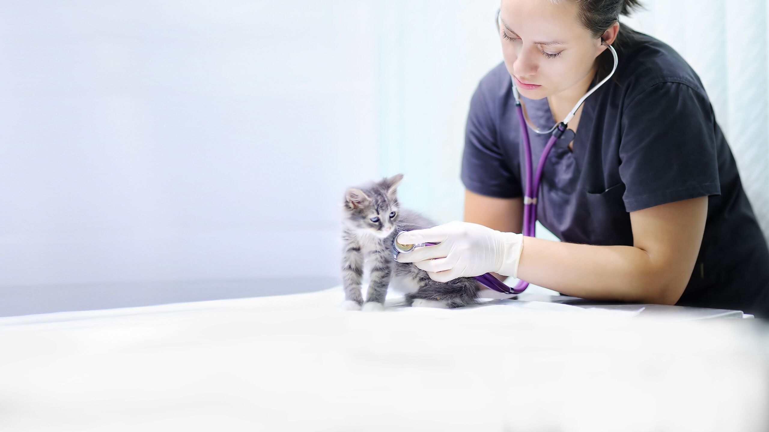 Famous Veterinarians